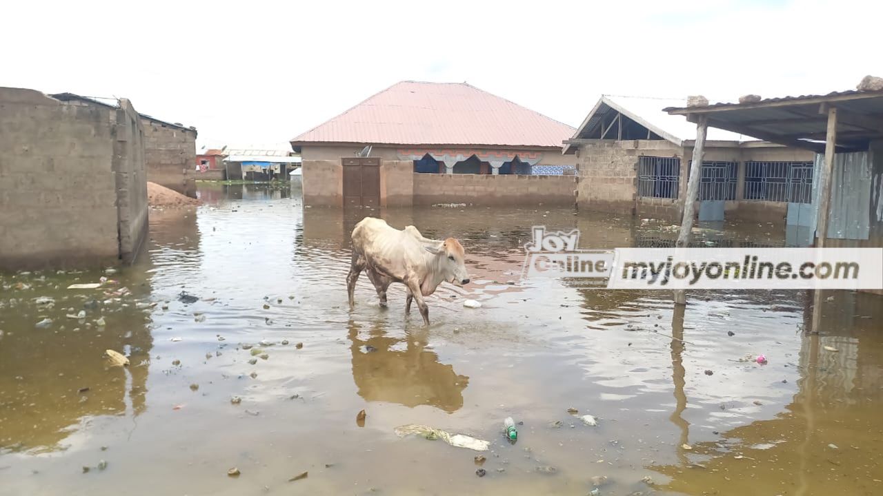 Buipe devastated by floods, about 1,500 residents displaced - Fafaa Fm